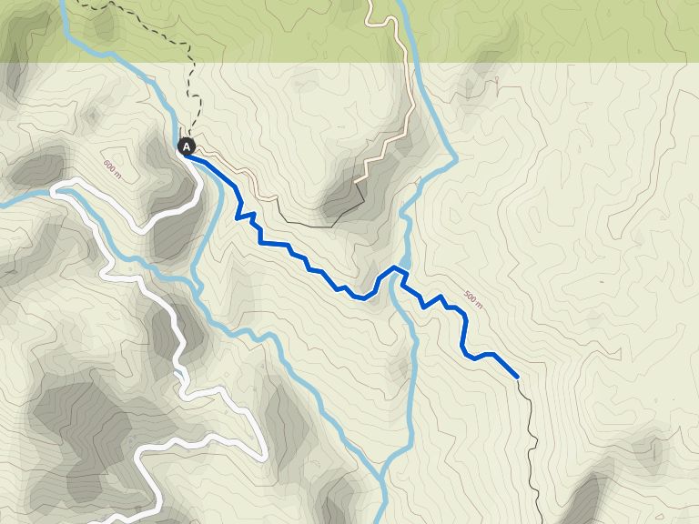 Naguabo Infinity Pool Trail — El Yunque National Forest | hike | Komoot